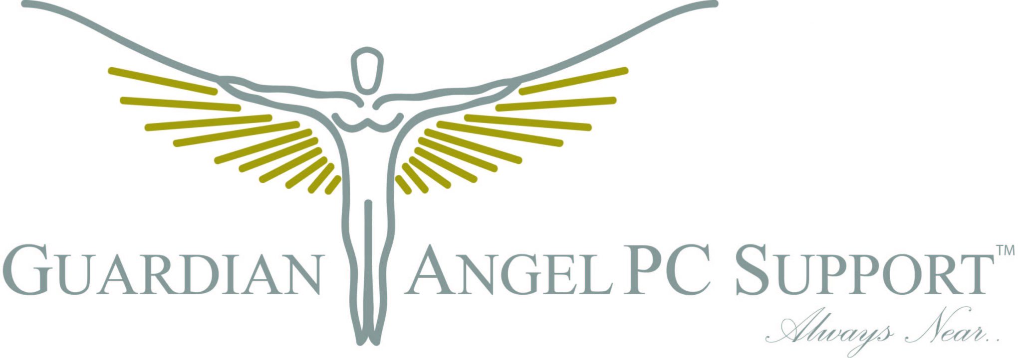 Guardian Angel PC Support - Tidworth Town Council
